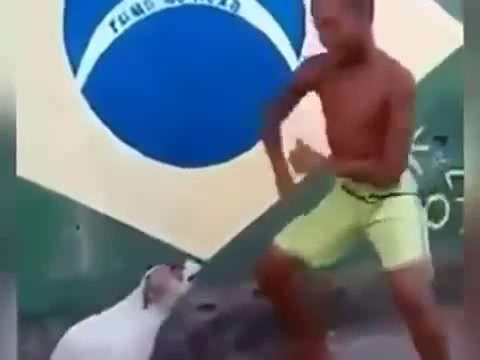 Dog Dancing - MUST WATCH !!! - Coub