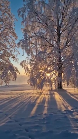 winter susnset - Coub