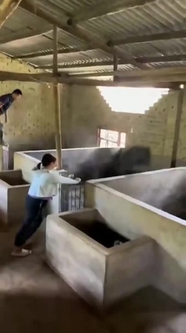 Parkour Parkour - Coub