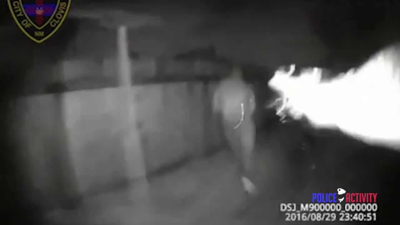 Bodycam Shows Officer Shot While Trying To Make Arrest - Coub