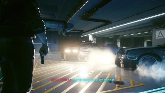 Ace Ventura in Cyberpunk 2077 - Coub