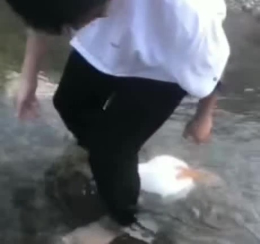 cry me a river kitty - Coub