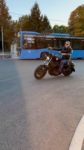 Wild Thing | #livecoub - Coub