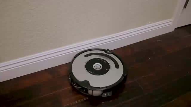 Roomba Cute Screams - Coub
