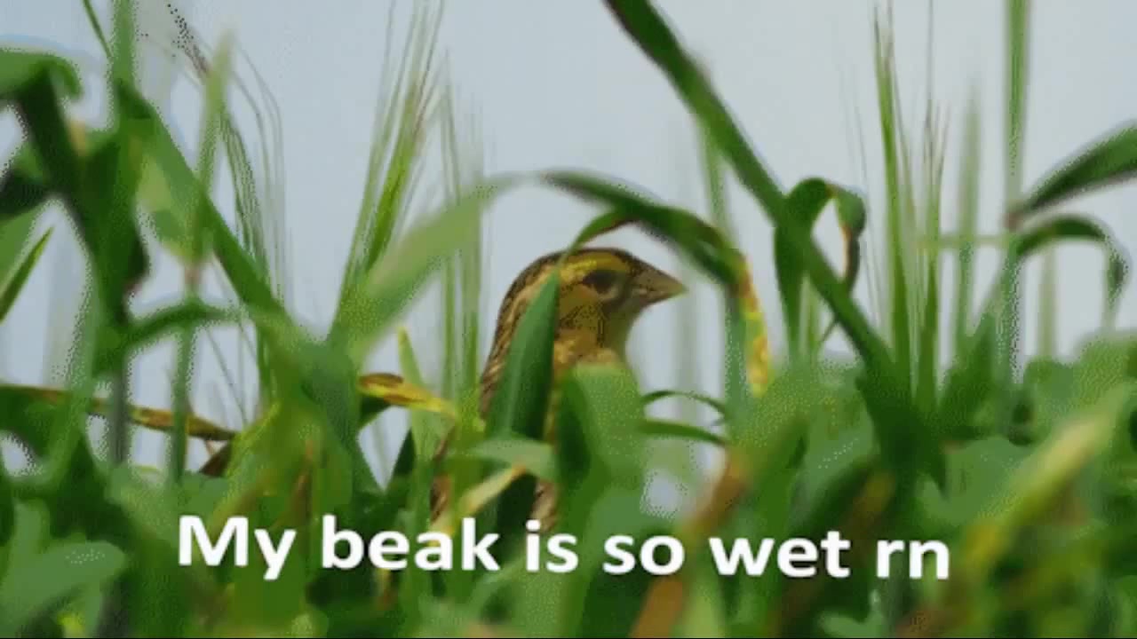 Lemme Smash II Final Mix5 - Coub