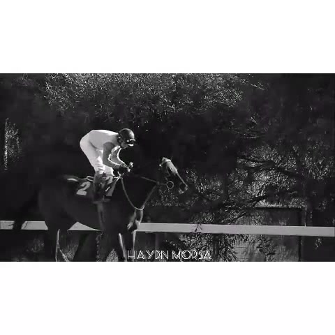 Go check out my last edit AND my new YouTube video American Pharoah: the story of America's Hero ...