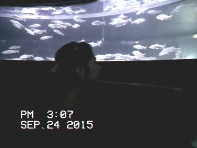 Among the fish - Coub