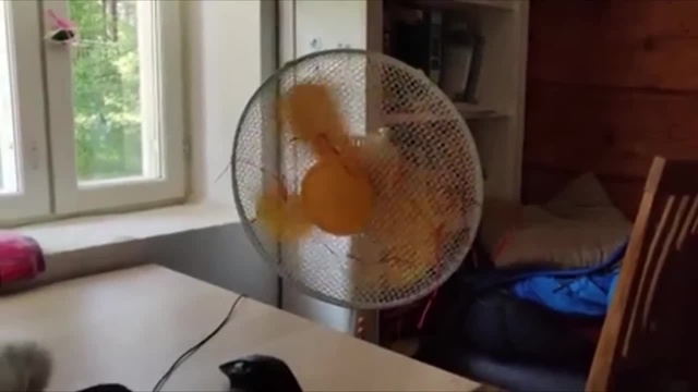 Hot summer on my mind - Coub