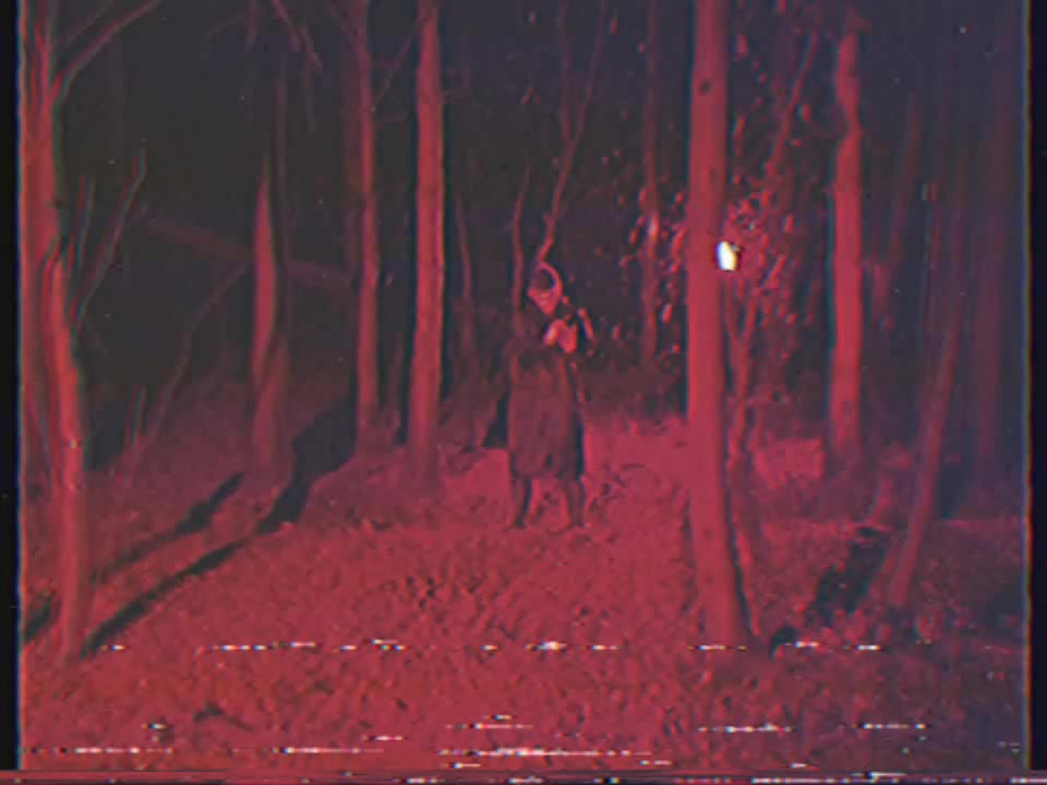 Red Forest in Confusion - Coub