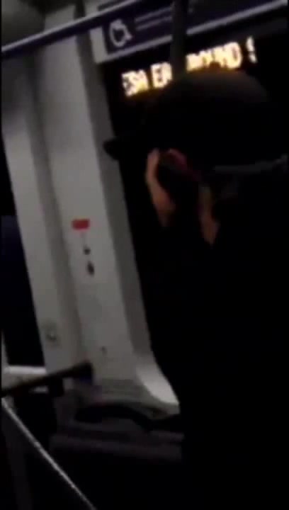 Guy with sword on train stops fight - Coub