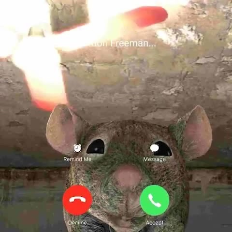 gordon freeman would like to facetime (rat meme) /SFM/ - Coub