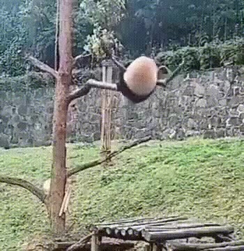 scenes after titles | igor_inq - Coub