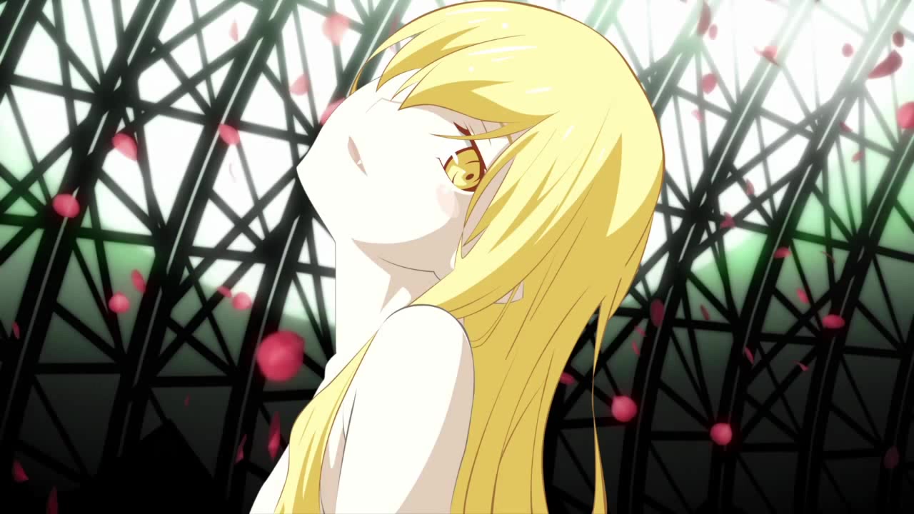 Monogatari Girls - Coub