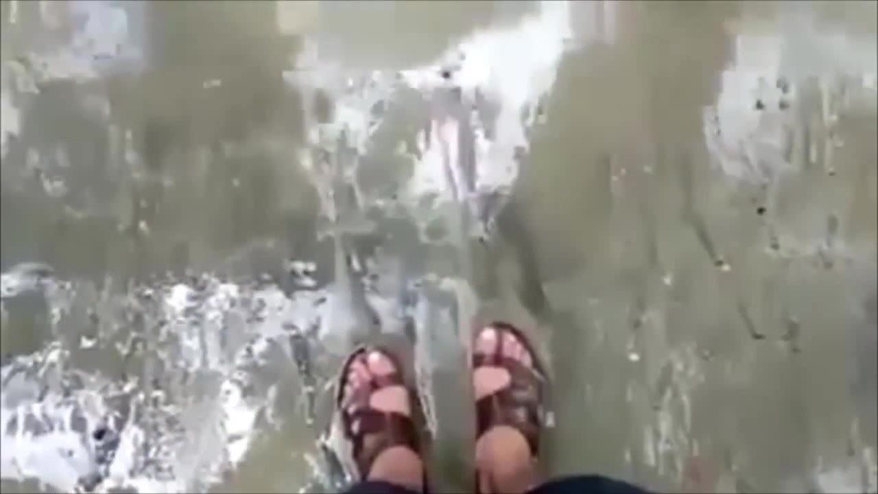 Welcome to Sheer 😂 - Coub