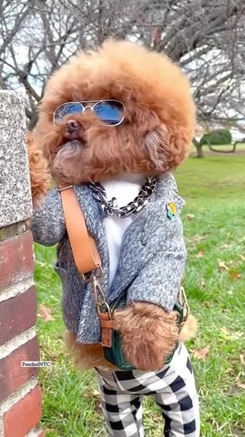 love at first sight - Coub