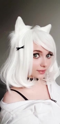 Cat kitty cat - Coub