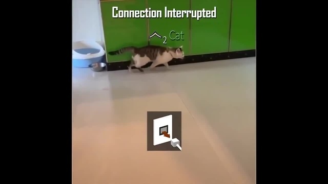 connection interrupted - Coub