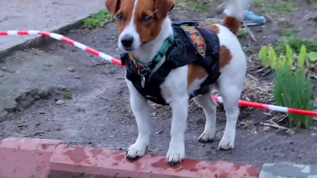 #TBsampling BonusPatron - Coub