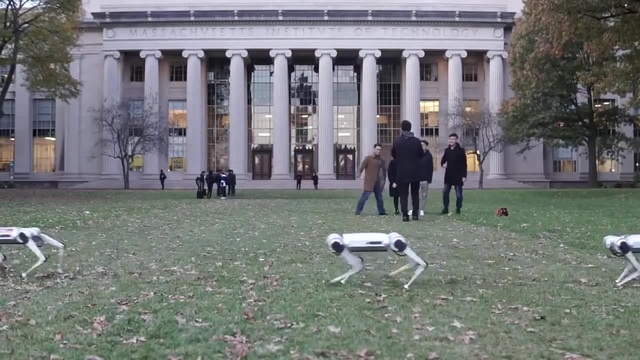 Stealth mode 80 LVL - Coub