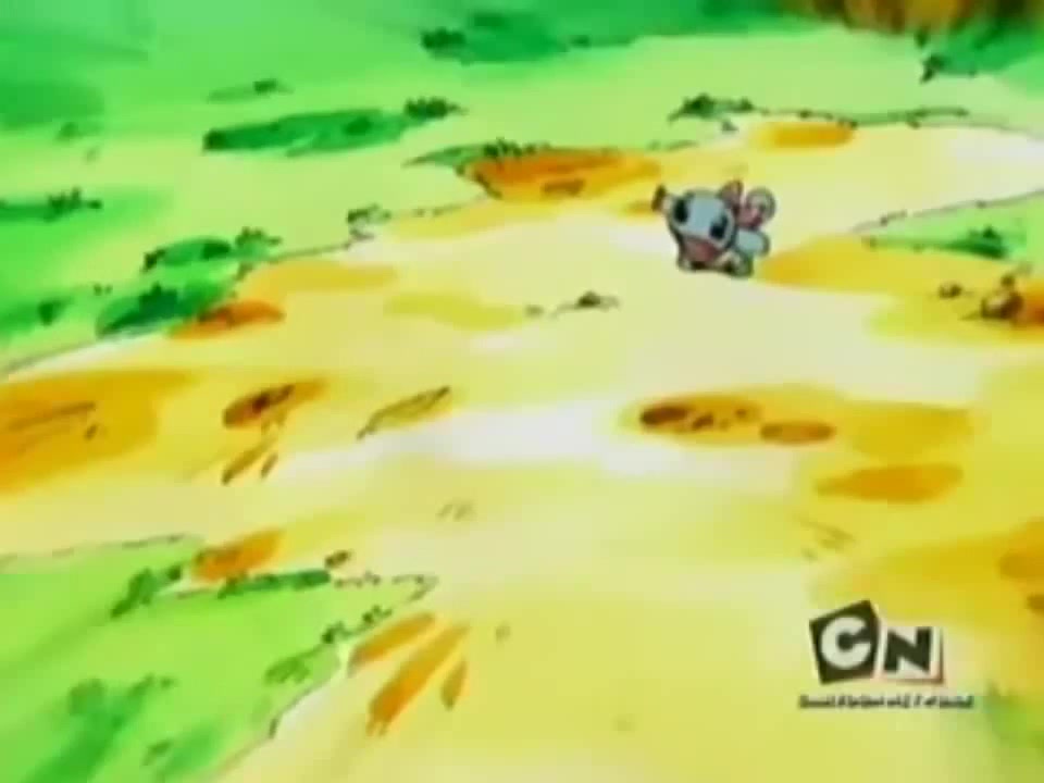 YTP - Pokémon Misery Dungeon - Coub