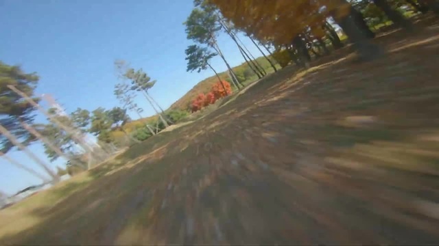 MCK fpv freestyle - NEW FLOW with HIGH RATES / My best run - Coub