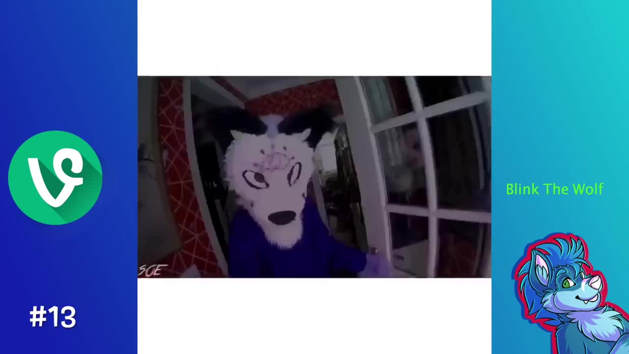 Furry Vine Compilation #13 50+ Vines - Coub