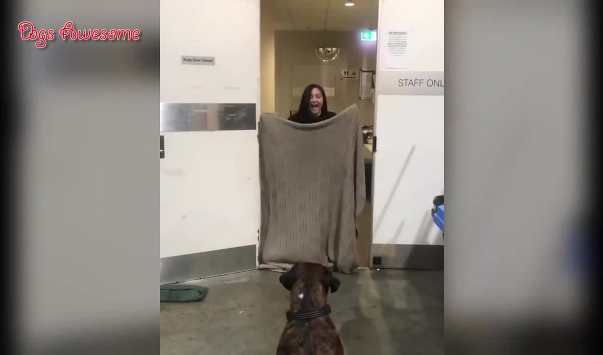 Something went wrong - Coub