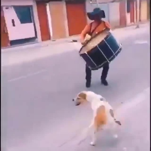 Push The Tempo - Coub