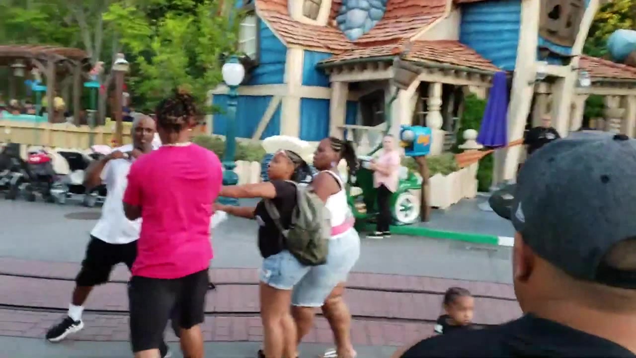 Disneyland Fight July 2019 Toon Town. Graphic Violence - Coub