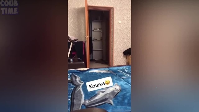 COUB TIME #20 | BEST MEMES | FAILS | GIRLS | Лучшие Приколы 2024 - Coub