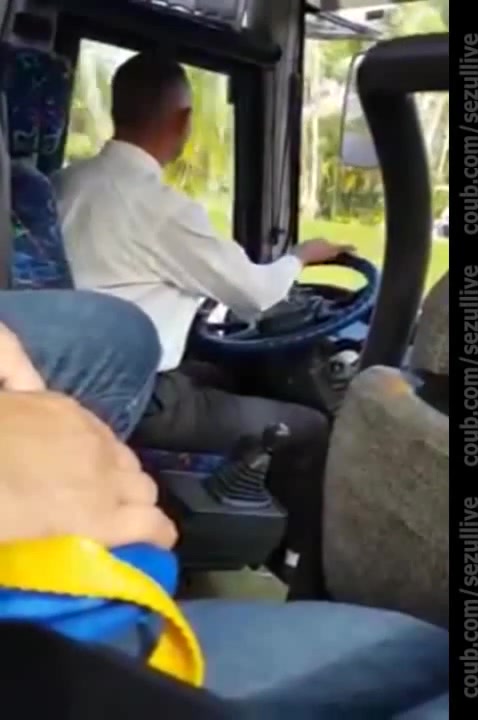 Bus Driver Radio x9 - Coub