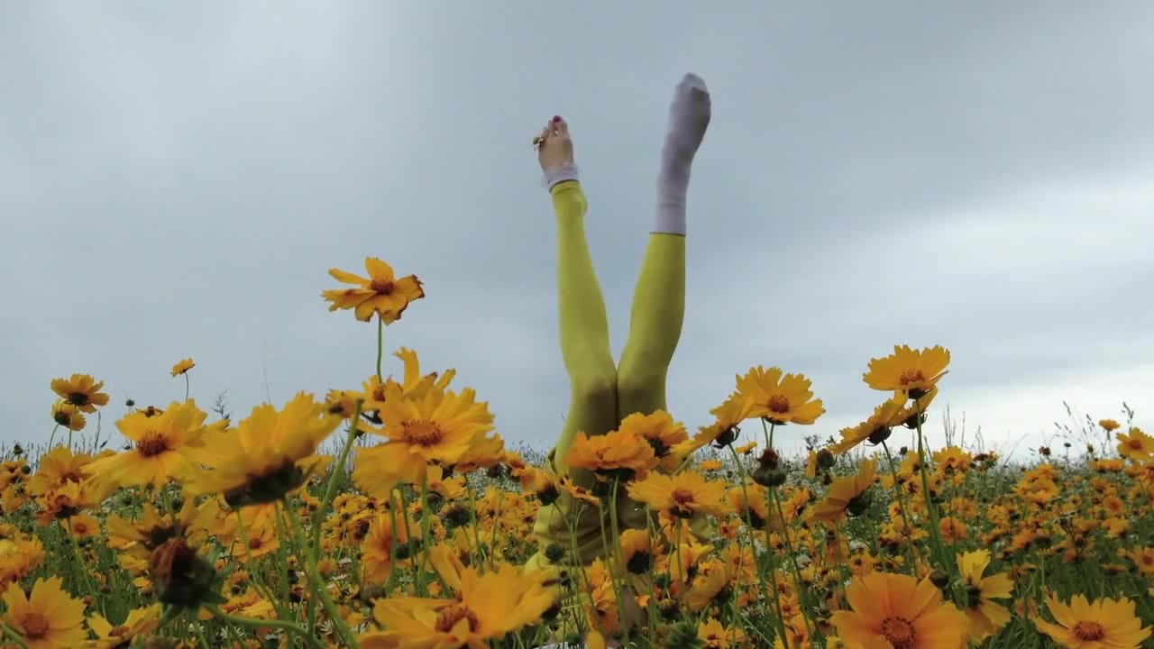 For Julia Heartless Sunny Flowers Day! #Heartless_B_Day - Coub