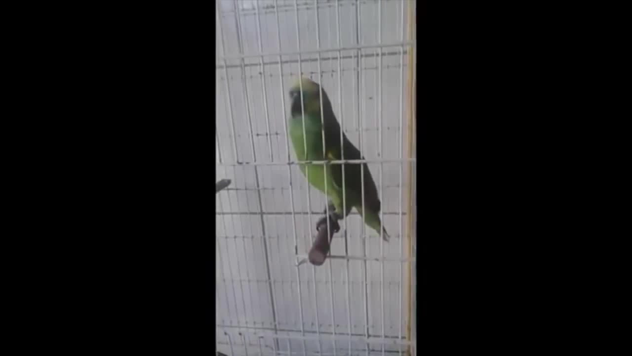 TRY NOT TO LAUGH 👉 CHALLENGE #18 (🔥HARD LEVEL🔥!!!💥) - Coub