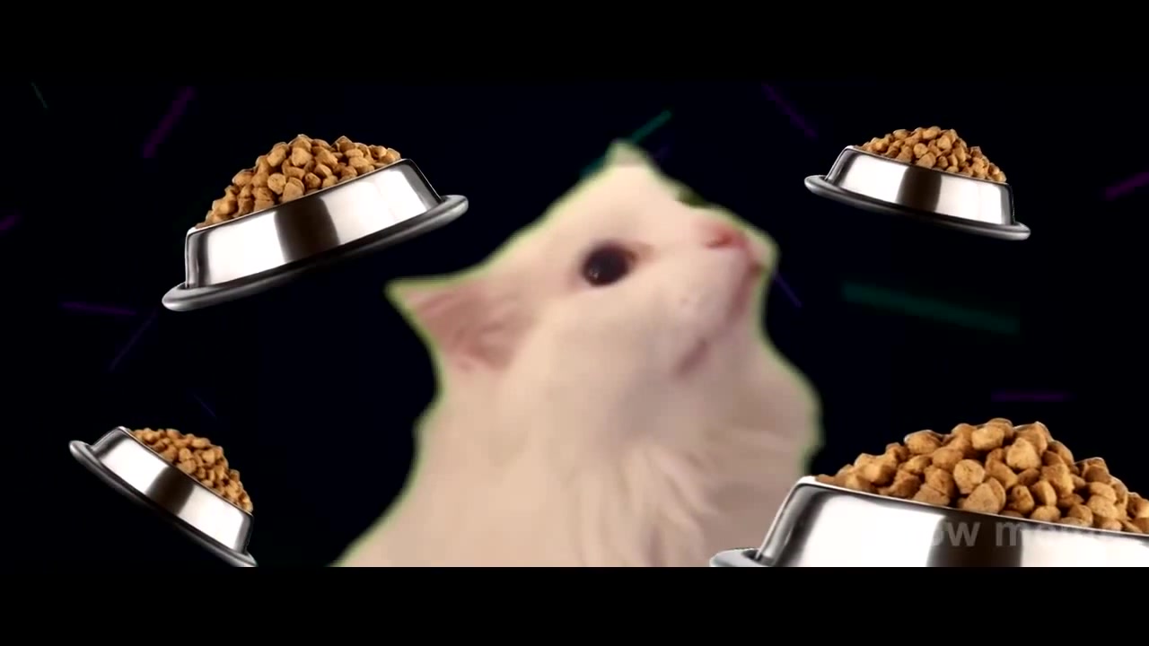 Imagine Dragons - Believer - Cat Cover - Coub