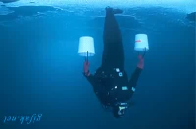 Forward and Back - Coub