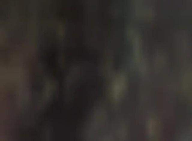 Я лол пернул- Revers Edition - Coub