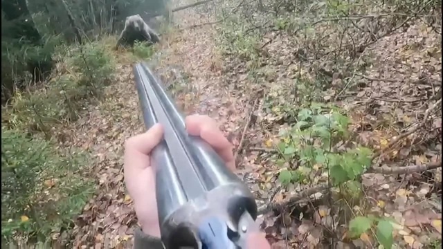 💥 Встреча с МЕДВЕДЕМ в лесу... ( bear attacks russian man ) - Coub