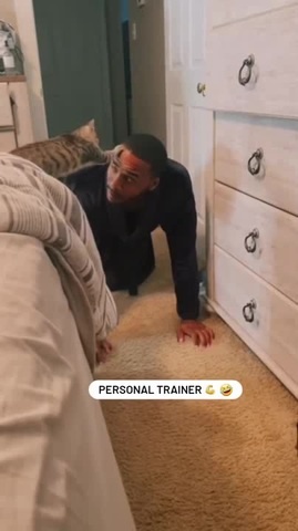 personal cat trainer - Coub