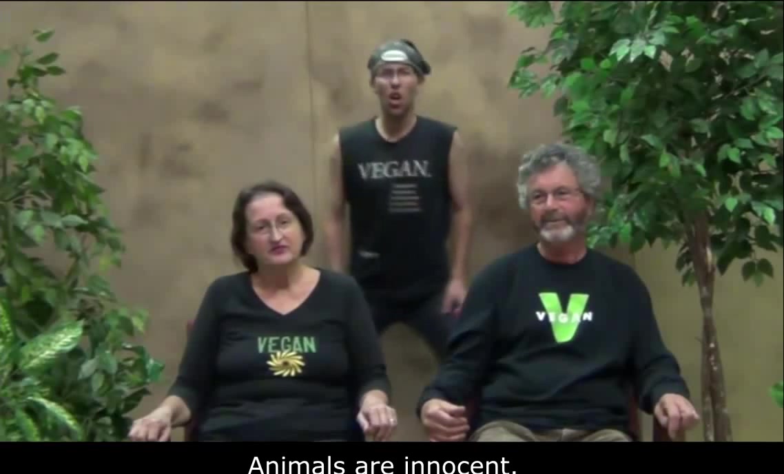 Animals are innocent - Coub
