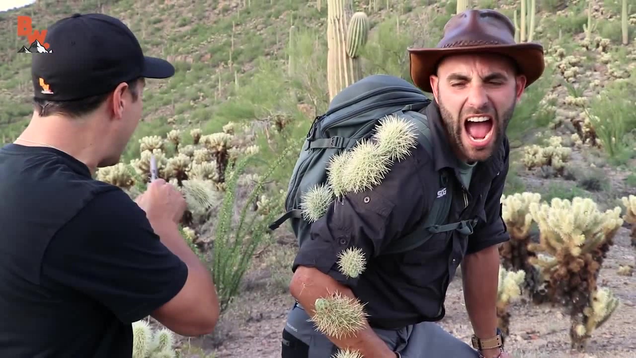 EXTREME Cactus Attack! - Coub