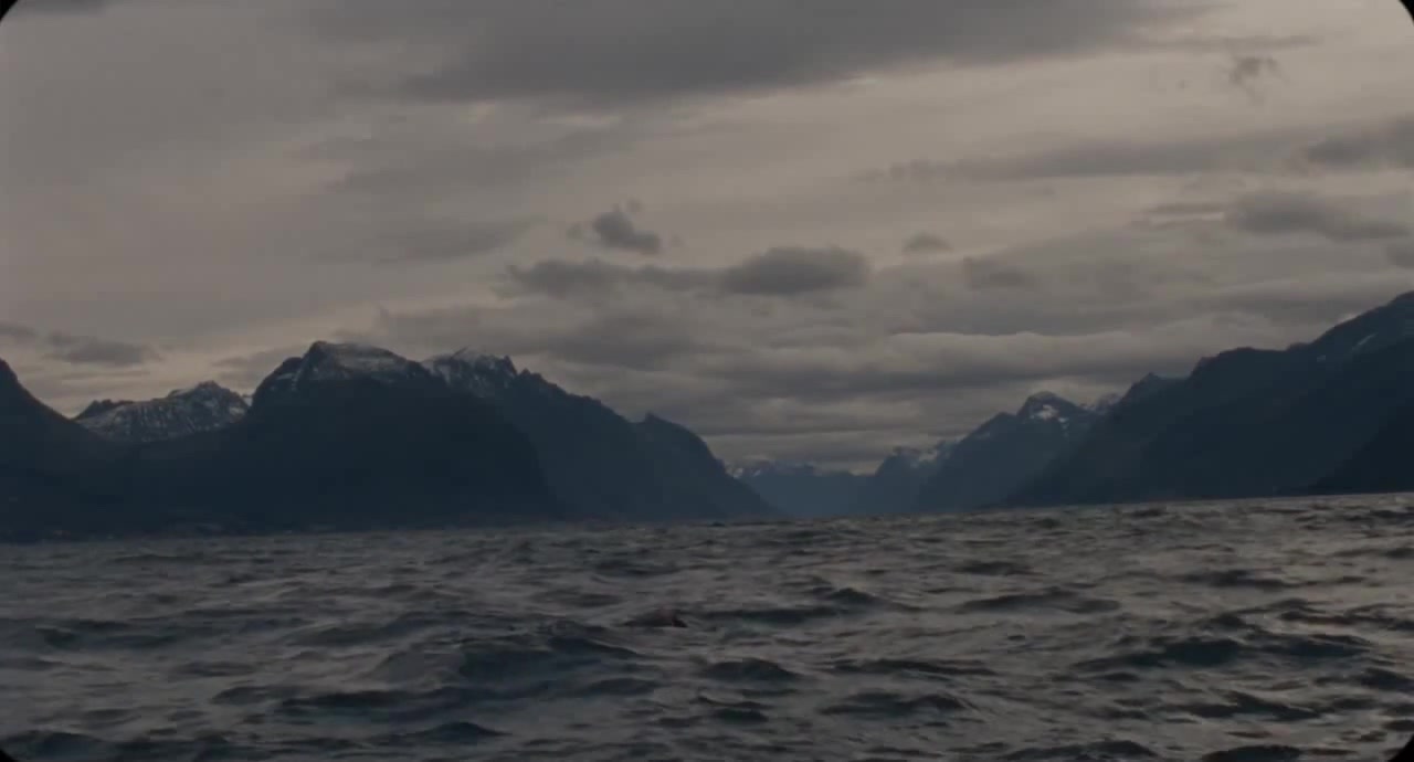 The Sun's Gone Dim And The Sky's Turned Black - Coub