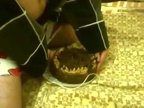 Maddyson and cake - Coub