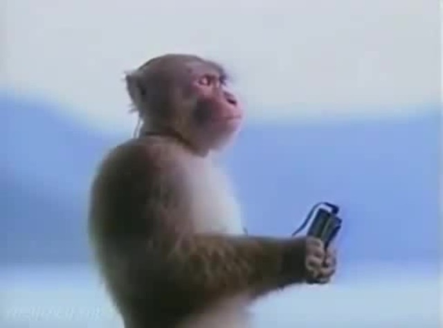 Monkey flying to the moon - Coub