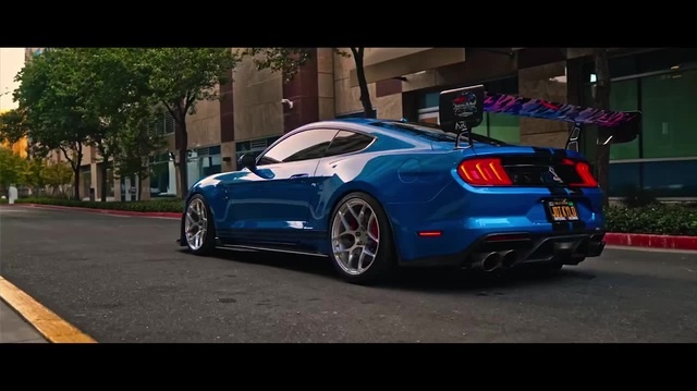 GT500 CATCHES FIRE DURING BURNOUT - Coub