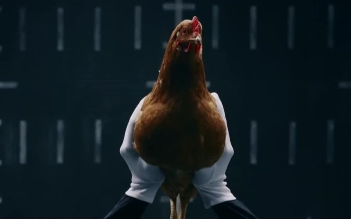 chicken vs human - Coub