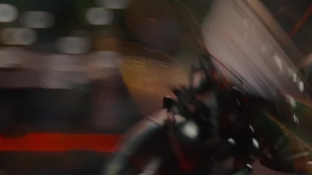 leave me alone, the season is already over - Coub