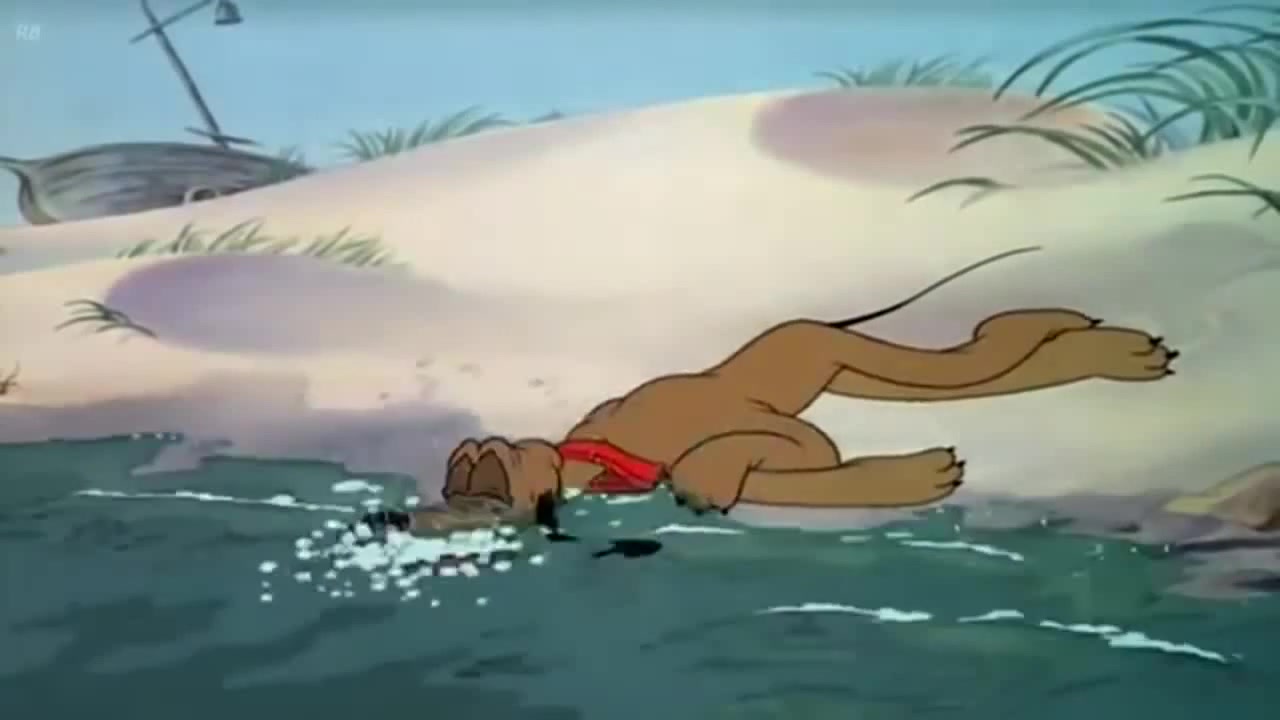 Donald Duck - Beach Picnic 6 - Coub