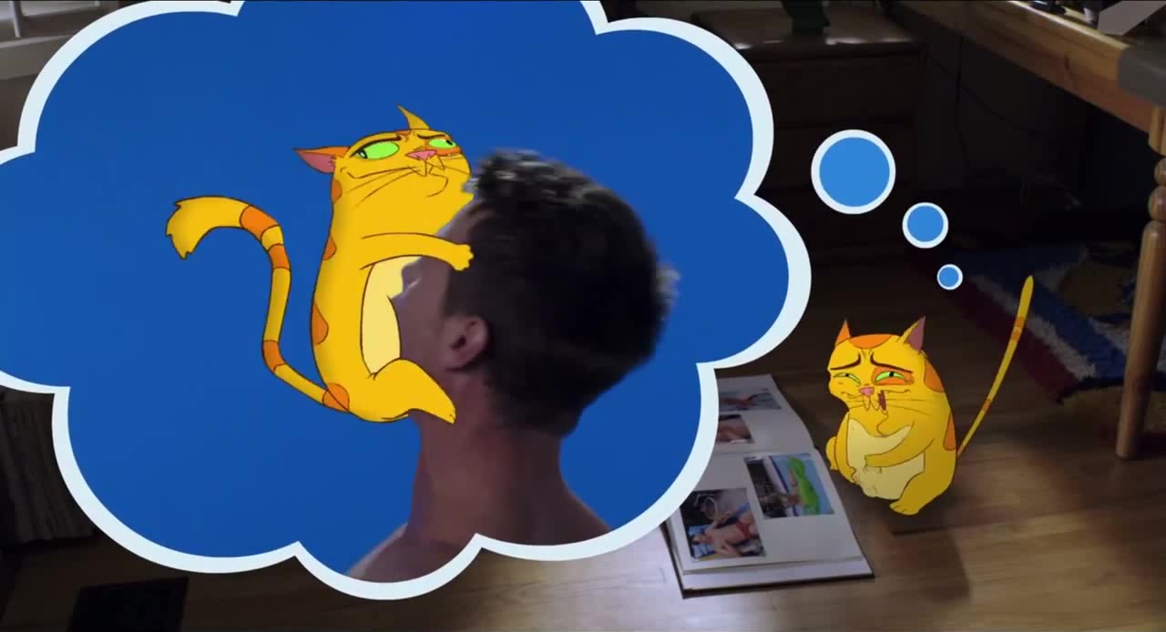 BEEZEL the cat - Coub