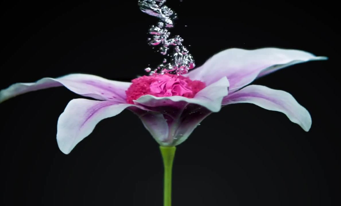 360 Slow Motion - Coub