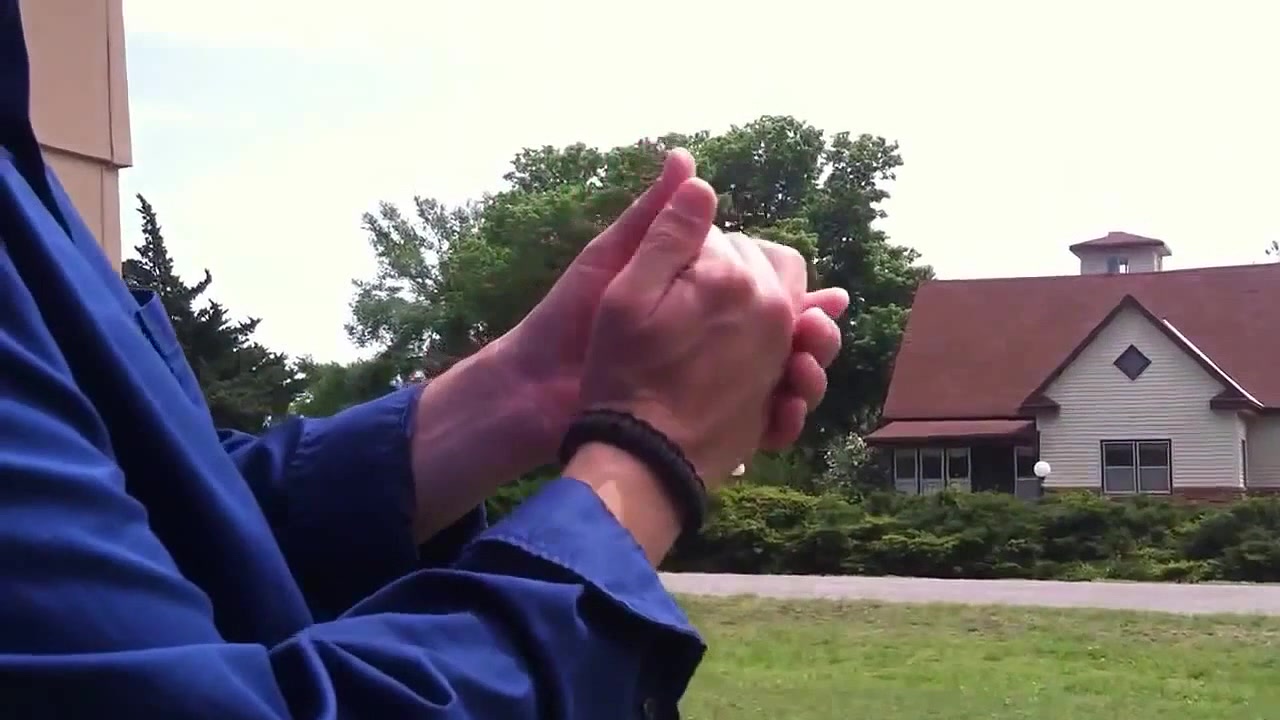 Step 1: How to call doves / (mourning doves) - Coub